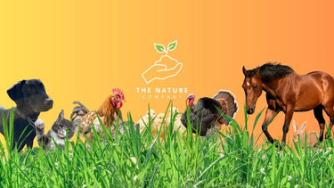 The Nature Company